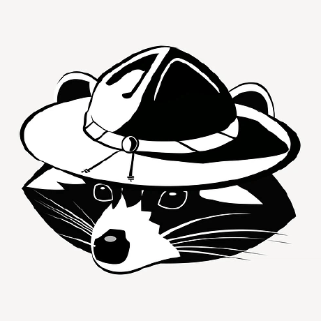 Raccoon Programming Language Github
