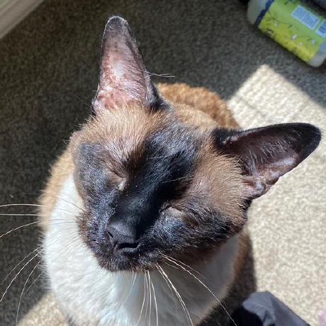 Matthewmkwhite Matthew White Github - Premium Space Photo Gallery - HD