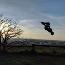 Github Microsoft Dion Dion Optimizer Algorithm