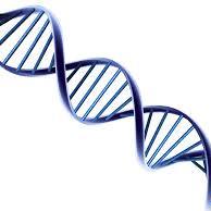 Project Muirfield Github