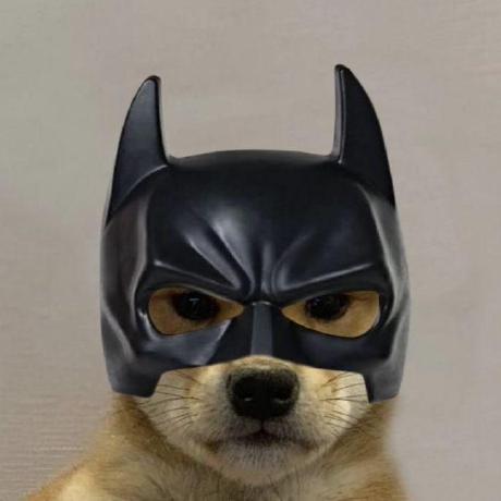 Kid Avi Avinash Kr Prasad Aka Kid Github