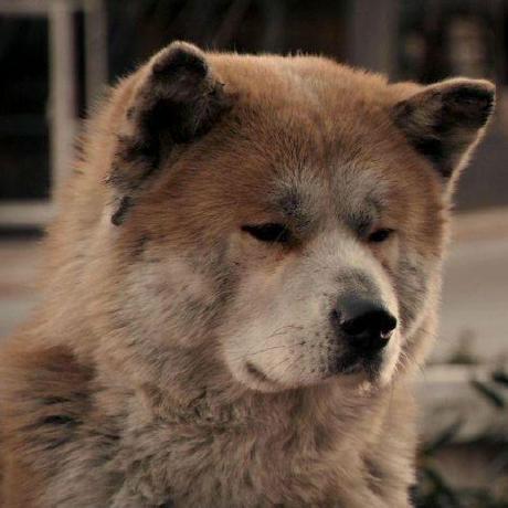 Github Vergilyn Retry Template Init - Premium Colorful Design Gallery - Retina