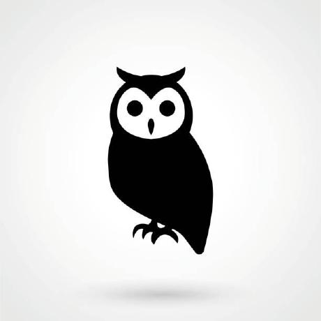 Night Owl Project Github