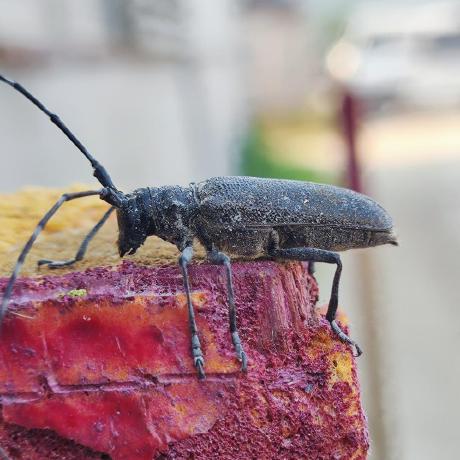 Mihail Kozyr Github - Best Nature Photos in 4K