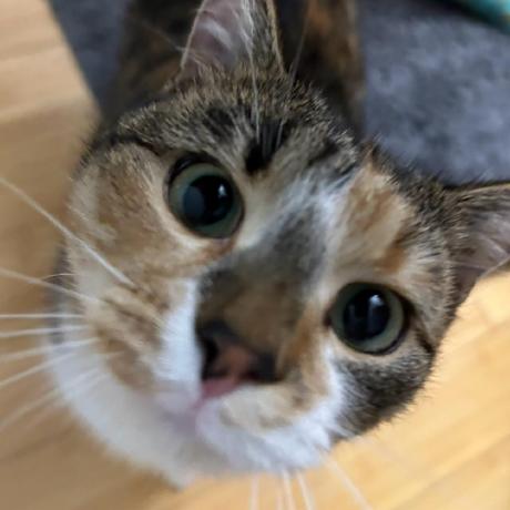 Ashleighxi Ashleigh Gray Github - Download Amazing Ocean Background | Desktop