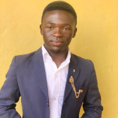 Flawlessprogrammer Flawless Coder Github