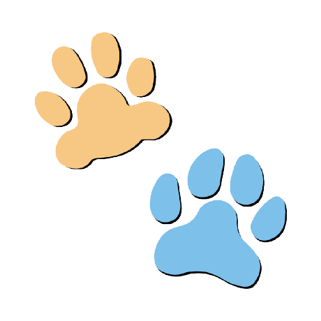 Shelter Partner Github