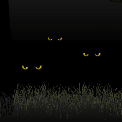 Midnight Animals Github