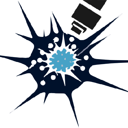 Cell Migration Lab Github