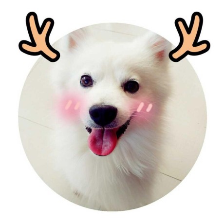 Jane Blog Jane Github