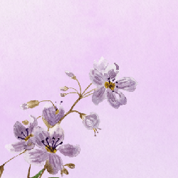 Navya0555 Navya M Github