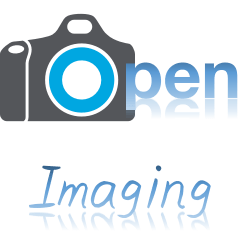 Openimaginglab Github