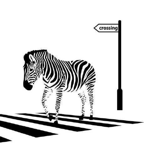 Zebra Acrobatic Github