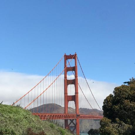 Developedbytoby Toby Brown Github