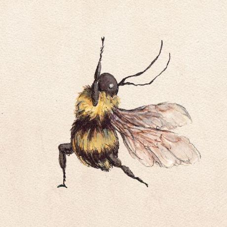 Camilla James Github