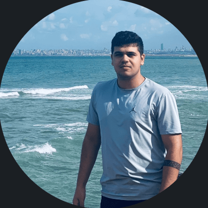 Developer Ali Msheik Ali Msheik Github