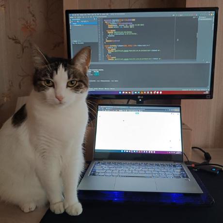 Spectatorspectator Spectator Github