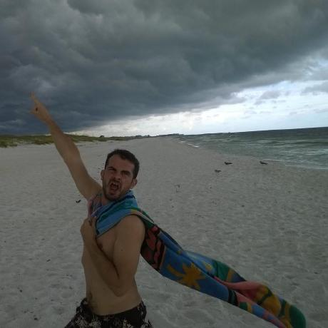 Sylvainbertrand Sylvain Github