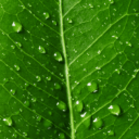 Marco A Marco Github