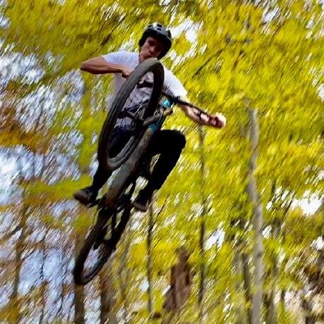 Dan Rocks Dan Steadman Github