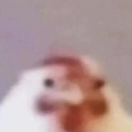 Github Werdnac92 Harris Matching - Premium Dark Image Gallery - 4K