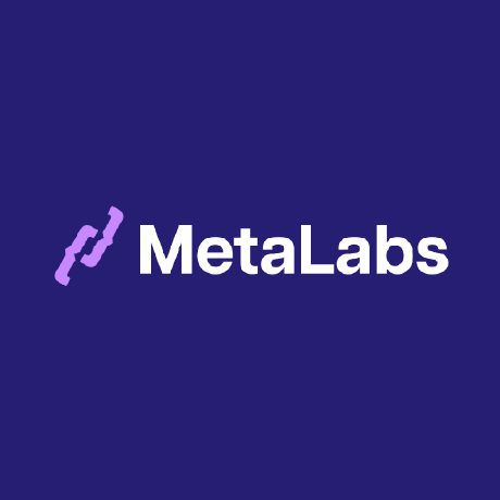 Metalabs Kg Github