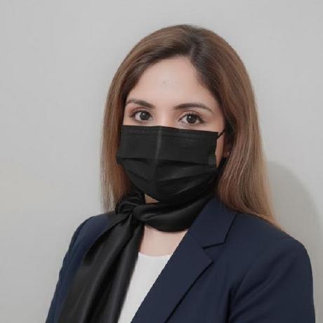 Aqsagull99 Aqsa Gull Github