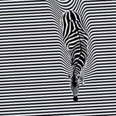 Mriusero Mriusero Github