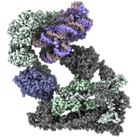 Computational Structural Genomics Github