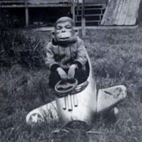 Alang Dev Alang Dev Github - Best Colorful Textures in 4K