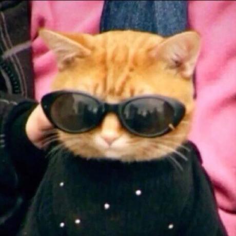 Github Kile Kile - Professional Gradient Background - Retina