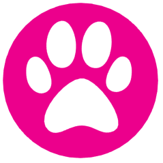 Paws Github