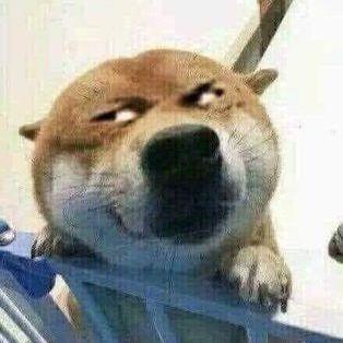 Dungicicc Jung Kook Github