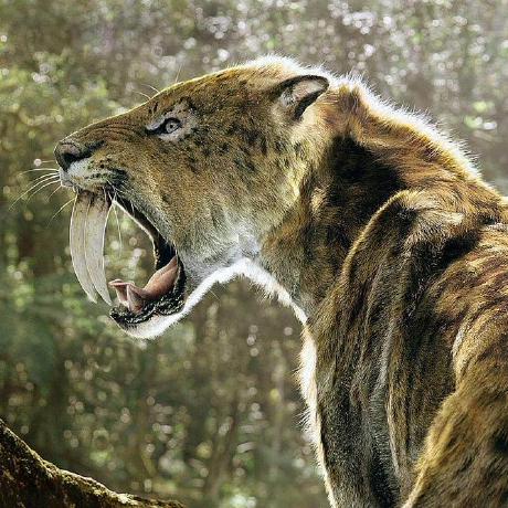 Dev Ian Aksel Ian Aksel Hernandez Mendieta Github