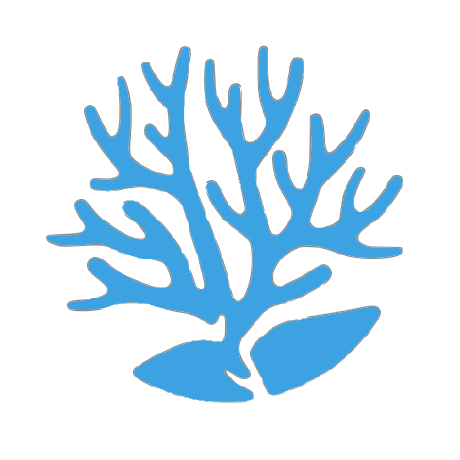 Red Sea Web Designs Github