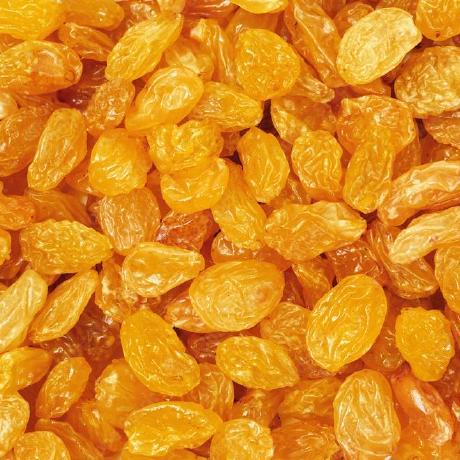 Raisinware Raisin Github - Landscape Pattern Collection - 4K Quality