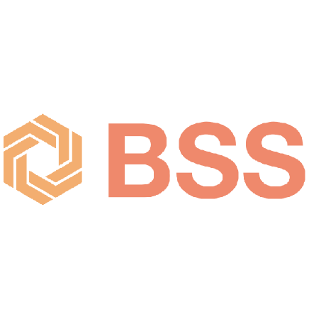 Bss Development Github