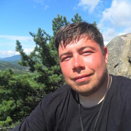 Lialsoftlab Alexey V Litvinov Github