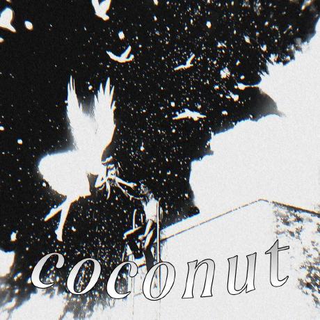 Coconutkarin Coconut Github
