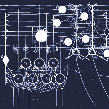 Neural Computation Of Social Behavior Github