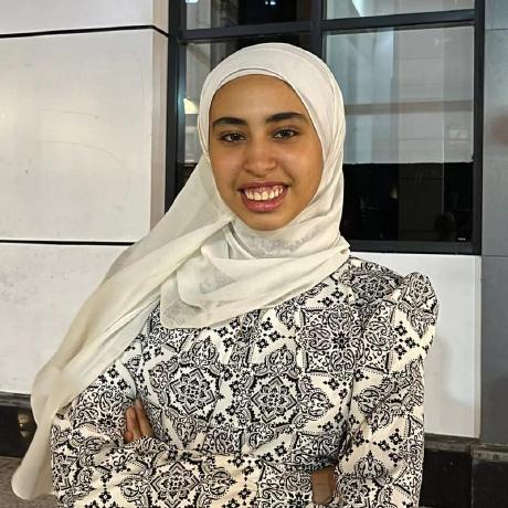 Nouranessam116 Github