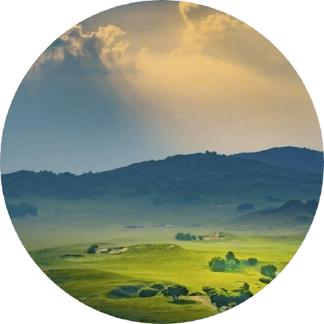 Jiulinhxm Jiulin Github