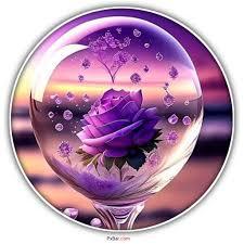 Ayesha2801 Ayesha Github