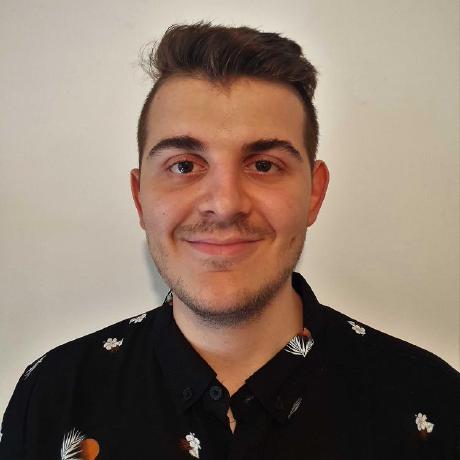 Gianluca Riskoptics Github