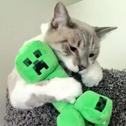 Github Creeper Cat Creeper Github