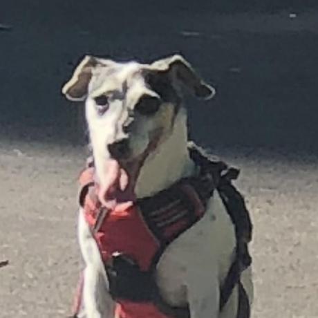 Gotal1 Eagle Git Github