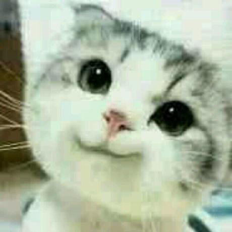 Github Voidint G Golang Version Manager