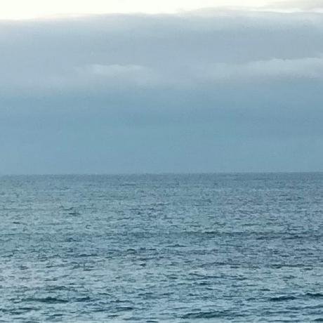 Melvarela Mel Github