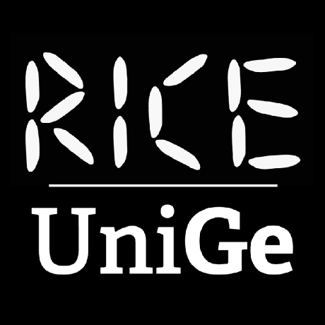Rice Github