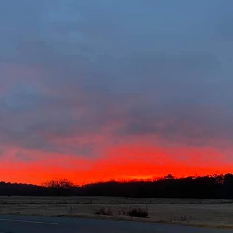 Landen2good Landen Pearl Github